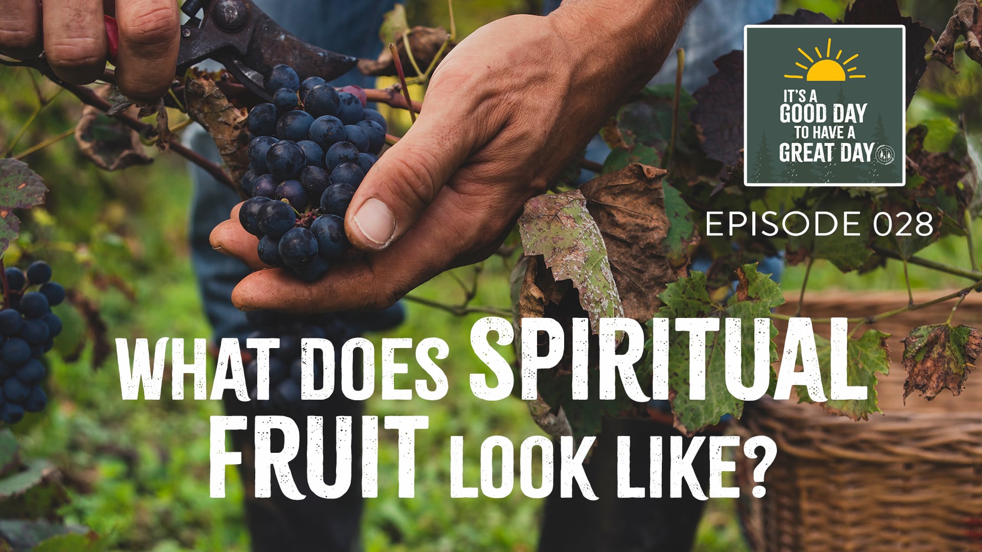 What Does Spiritual Fruit Look Like? - Camp Pearl